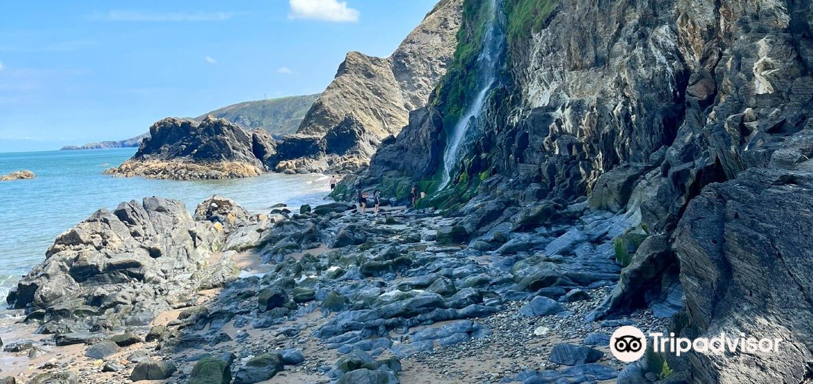 Things to Do in Penbryn in 2024 - Top Attractions, Local Food, Hotels ...