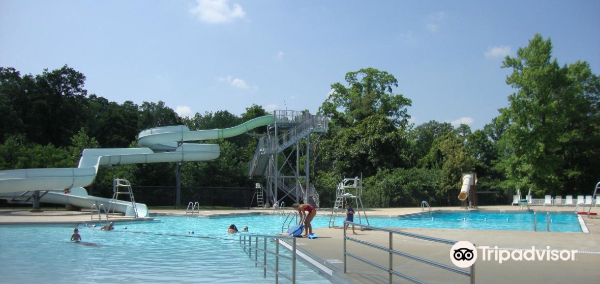 Things to Do in Lewis Township in 2024 - Top Attractions, Local Food ...