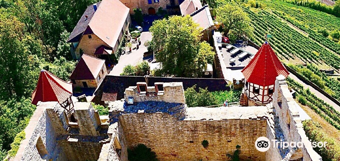 Things to do in Neckarzimmern (2025): Top nearby activities,popular ...