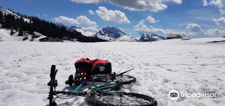 Muotathal Travel Guide 2025: Top Attractions, Things to Do & Deals ...