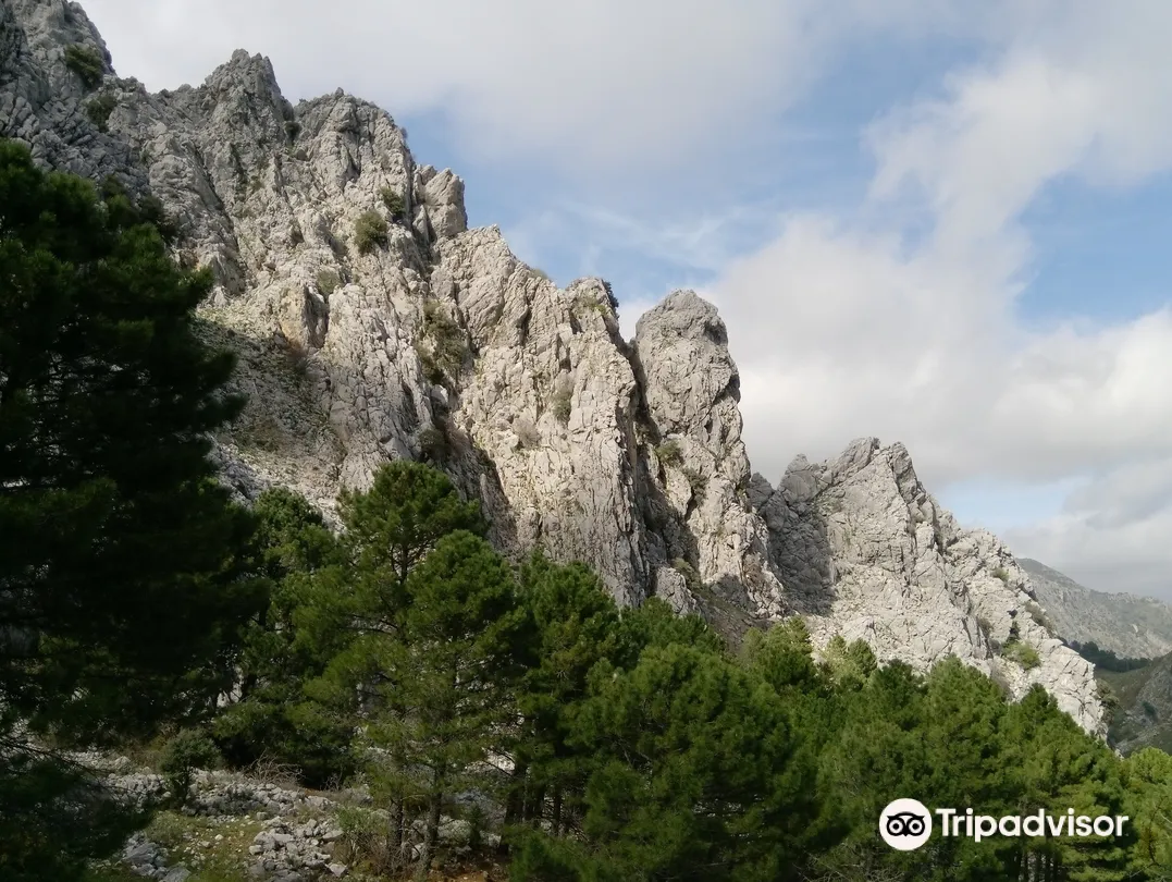 Sendero Puerto de las Presillas Tickets [2025] - Promos, Prices ...