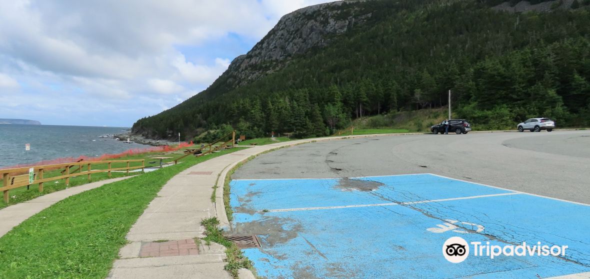 Things to Do in Conception Bay South in 2024 - Top Attractions, Local ...