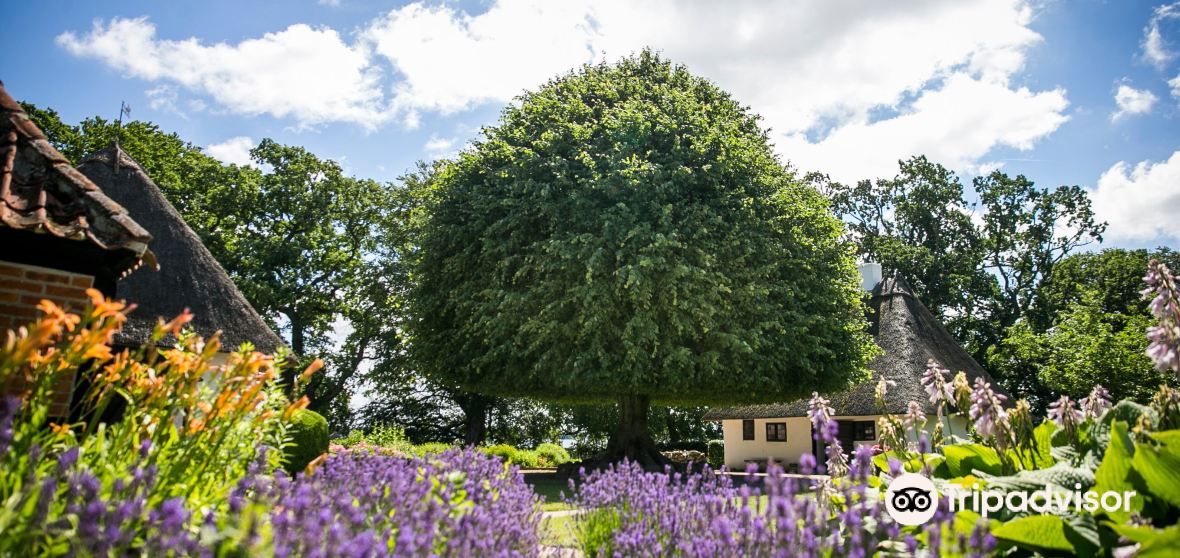 Things to Do in Maribo in 2024 - Top Attractions, Local Food, Hotels ...