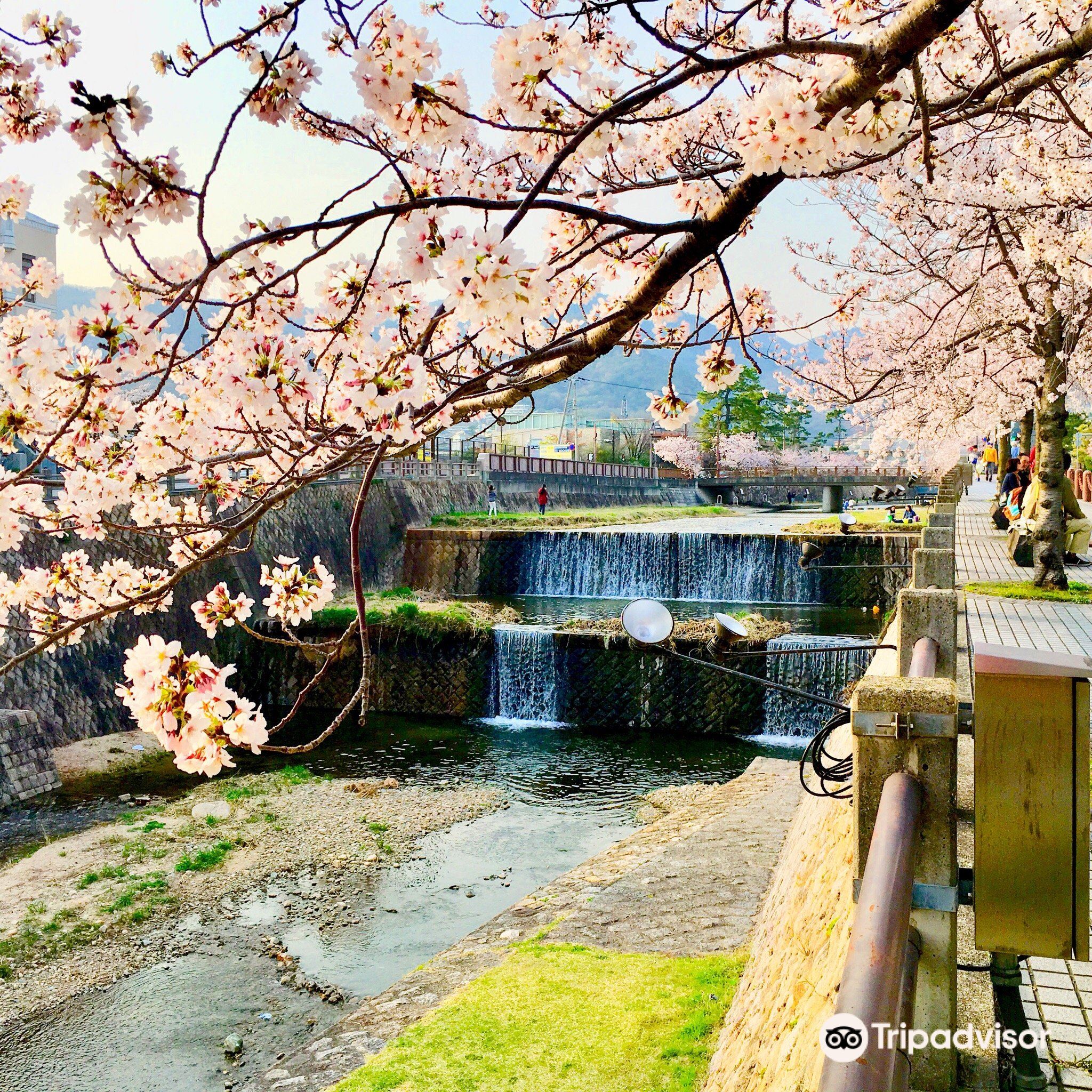 10 Hotel Terbaik Paling Dekat dengan Welcia Ashiya Kasuga di Ashiya - Ulasan, Gambar & Peta ...