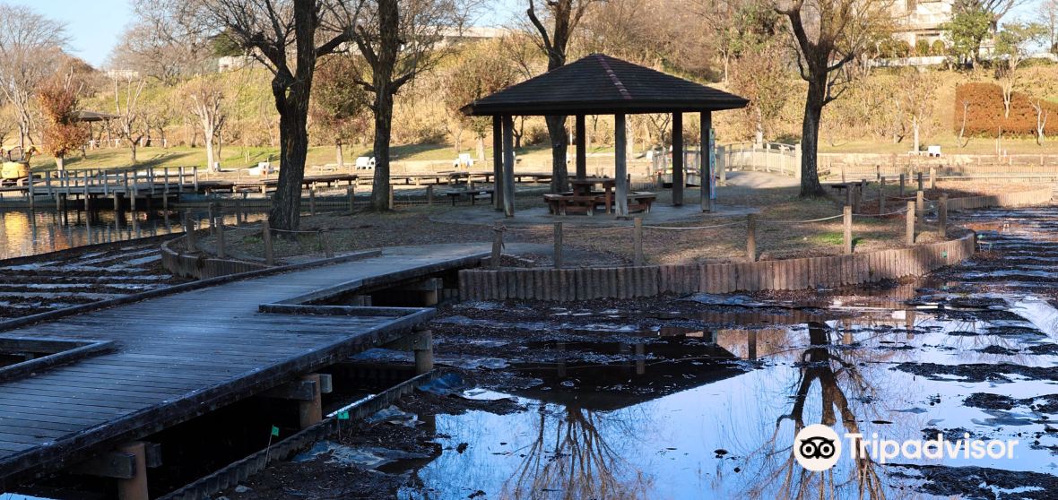 Things to Do in Moriya in 2025 - Top Attractions, Local Food, Hotels ...