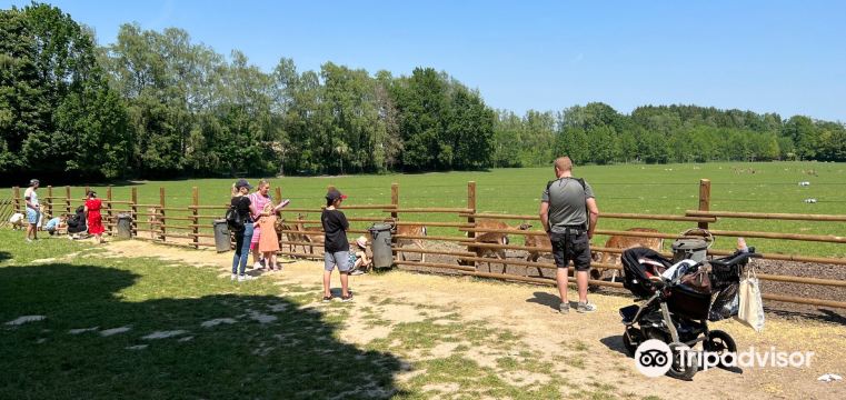 Things to Do in Poing in 2025 - Top Attractions, Local Food, Hotels ...