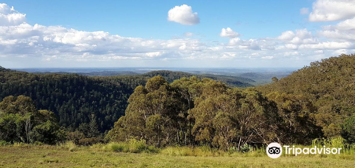 Bunya Mountains Travel Guide 2024 - Things to Do, What To Eat & Tips ...
