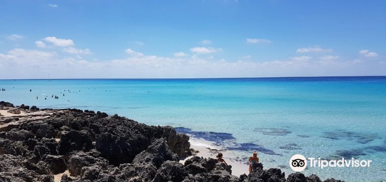 Playa Migjorn Travel Guide 2024 - Things to Do, What To Eat & Tips ...