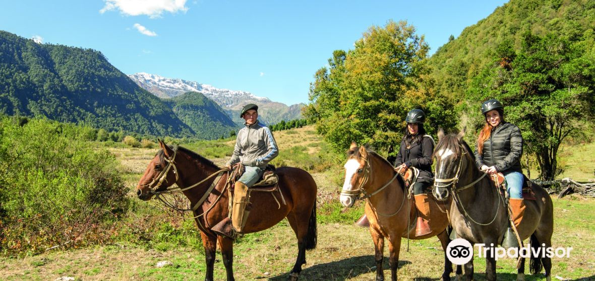 Things to Do in Curacautin in 2024 - Top Attractions, Local Food ...