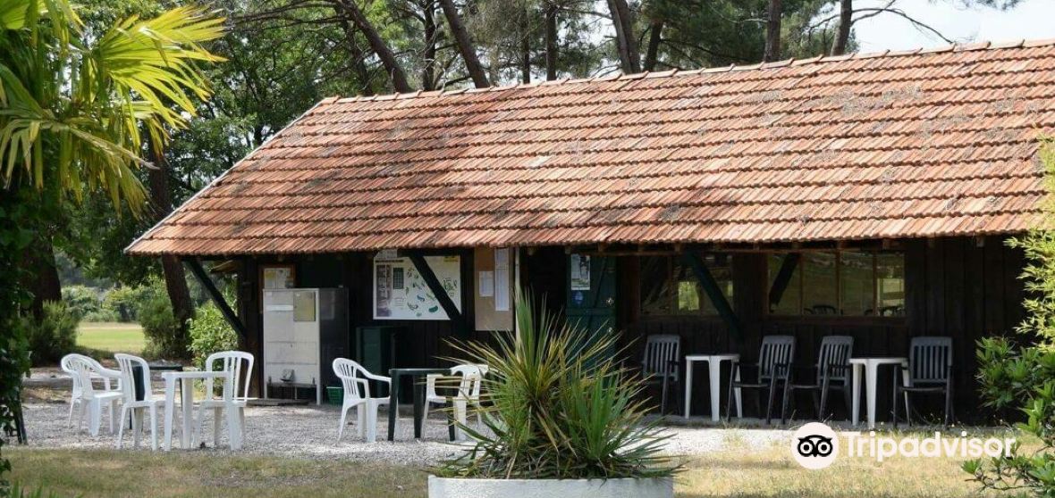 Things to Do in Lanton in 2024 - Top Attractions, Local Food, Hotels ...