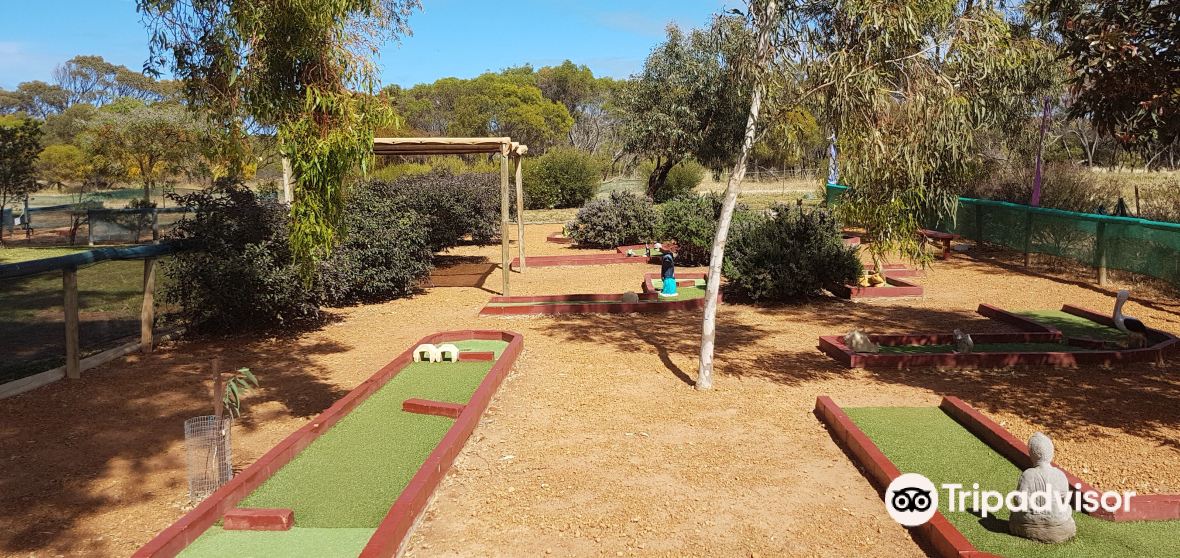 Bookara Travel Guide 2024 - Things to Do, What To Eat & Tips | Trip.com