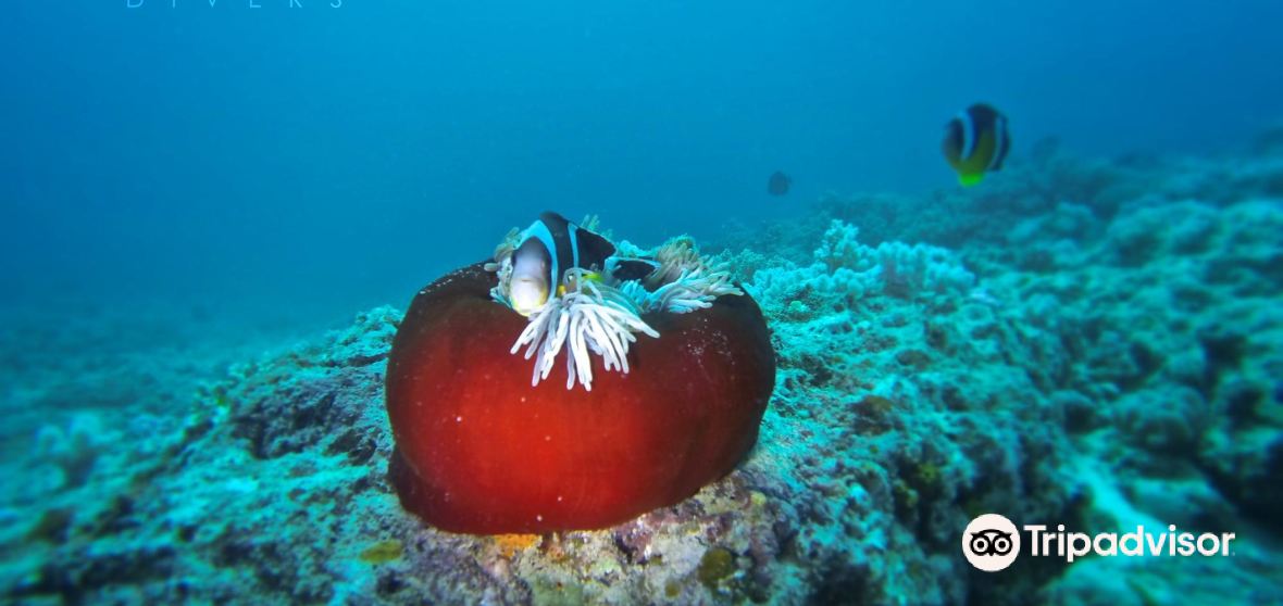 Things to do in Calodyne (2025): Top nearby activities,popular ...