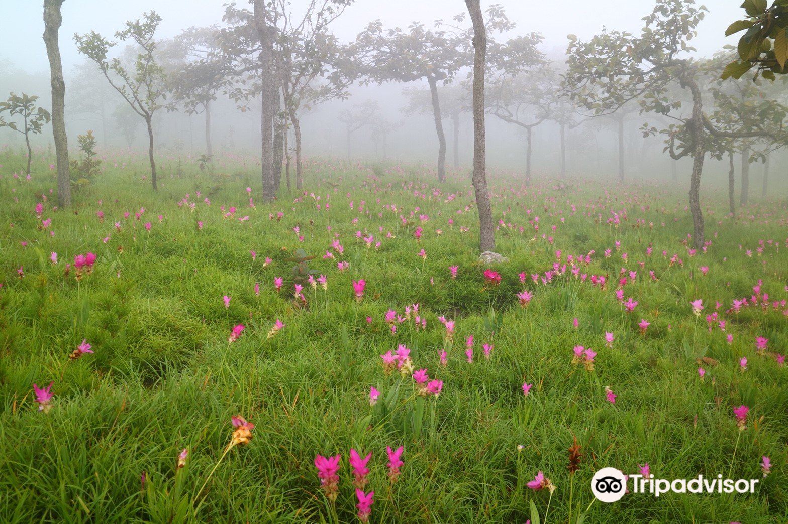 โรงแรมที่ดีที่สุดใกล้pp_cactus ในอำเภอ เทพสถิต จองที่พักราคาถูก | Trip.com