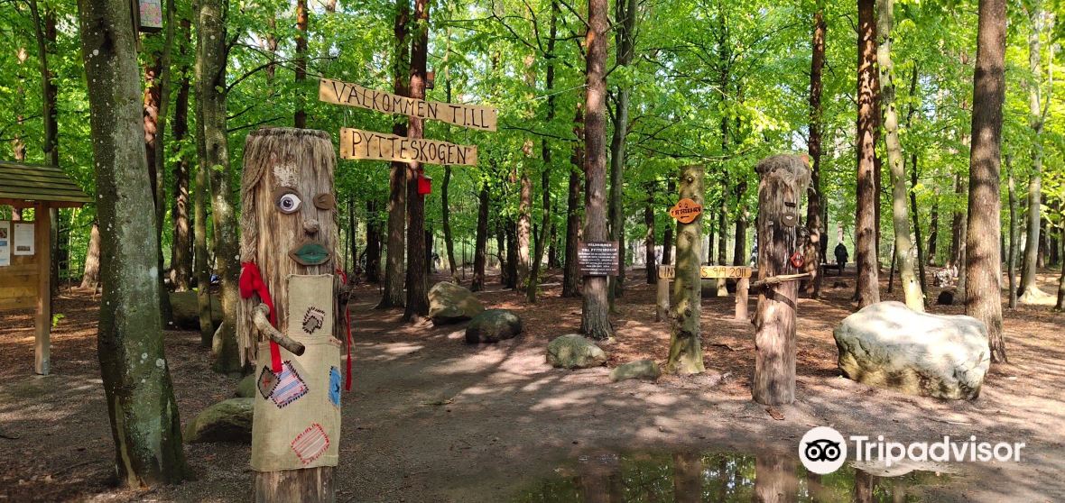 Travel Guide for Places Near 2025: Top Things to Do, Weather ...