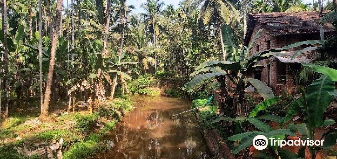 เที่ยวColem (2024) - ที่เที่ยวใน Colem, กิจกรรมสนุกๆ, โรงแรม ...