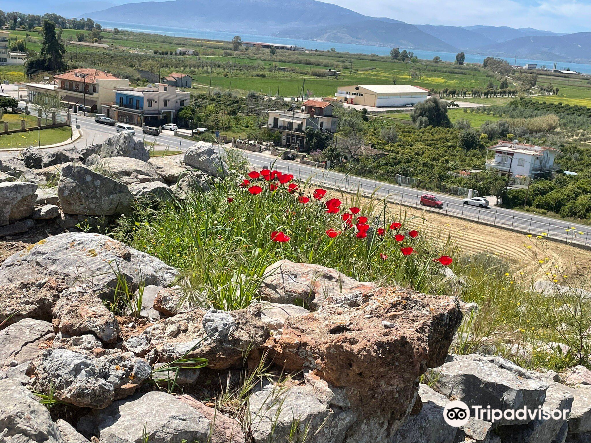 Tiryns: ภาพถ่าย, แผนที่ & รีวิว [2024] | Trip.com