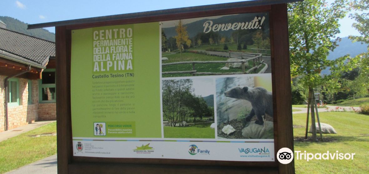 Things to Do in Castello Tesino in 2024 - Top Attractions, Local Food ...