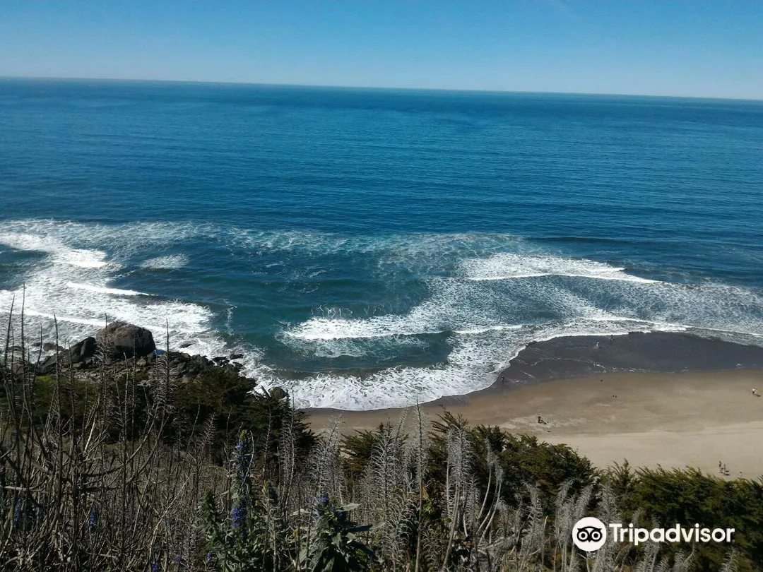 Audubon Canyon Ranch，Martin Griffin Preserve Tickets [2025] - Promos ...