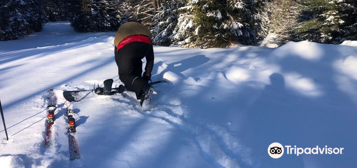 Things to Do in Val-David in 2024 - Top Attractions, Local Food, Hotels ...