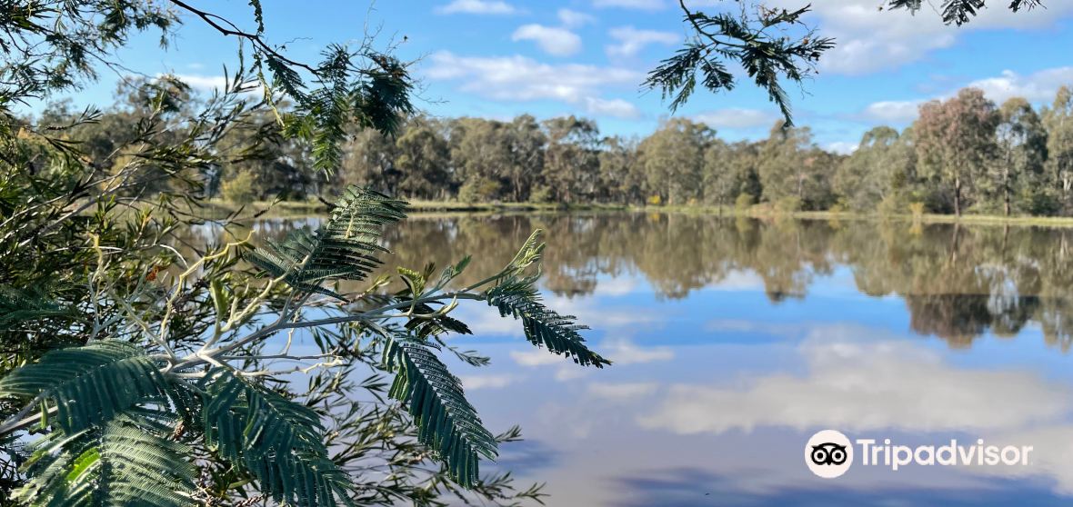Euroa Travel Guide 2024 - Things to Do, What To Eat & Tips | Trip.com