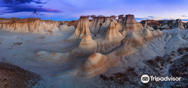 Farmington Travel Guide 2024 - Things to Do, What To Eat & Tips | Trip.com