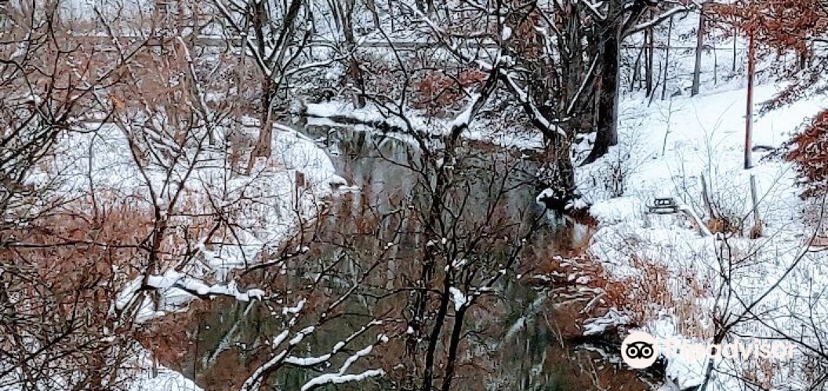 Things to Do in McCandless Township in 2024 - Top Attractions, Local ...