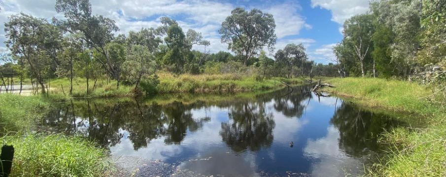 Town Common independent travel guide (2025): top things to do near you ...