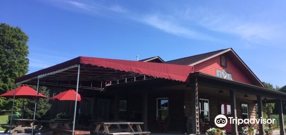 Things to Do in Littlefield Township in 2024 - Top Attractions, Local ...