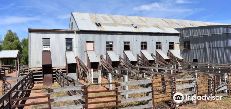 Things to Do in Carrathool in 2024 - Top Attractions, Local Food ...