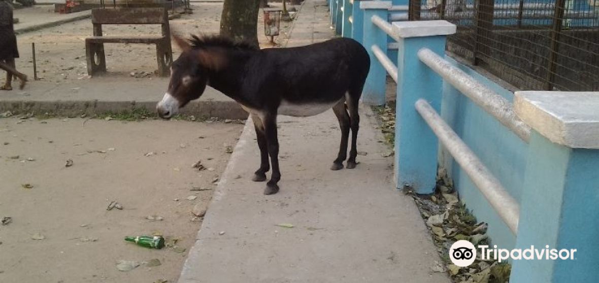 【2024年】ポート・ハーコートの人気観光スポット・旅行ガイド・グルメ情報満載 | Trip.com