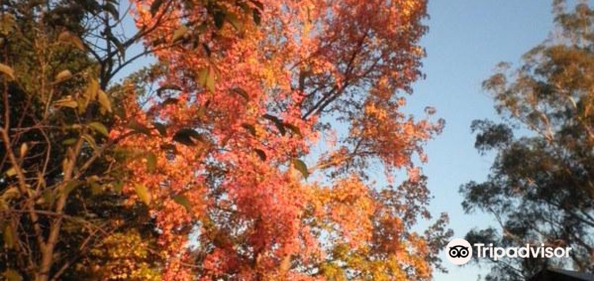 Nundle Travel Guide 2025: Top Attractions, Things to Do & Deals | Trip ...