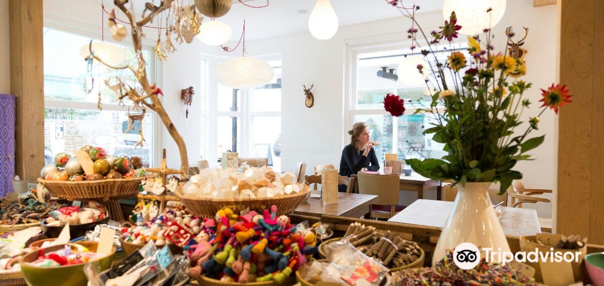 Things to do in Domburg (2025): Top nearby activities,popular ...
