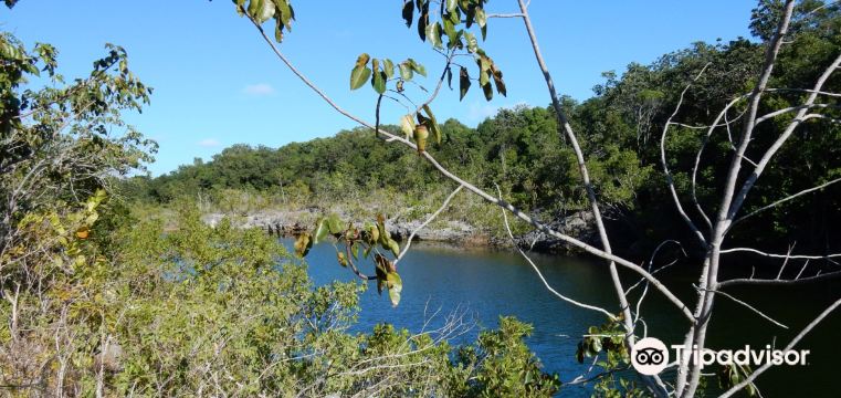 Things to Do in North Key Largo in 2024 - Top Attractions, Local Food ...