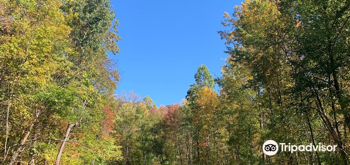 Wanaque Travel Guide 2026: Top Attractions, Things to Do & Deals | Trip ...