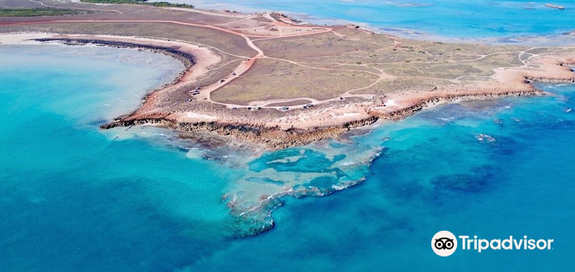 Things to Do in Pardoo in 2025 - Top Attractions, Local Food, Hotels ...