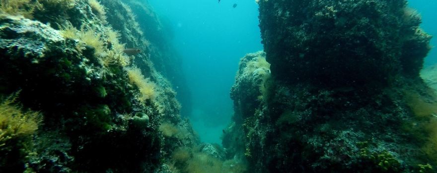 Caska여행 (2024) - 인기 여행지, 추천 코스, 맛집 정보 | 트립닷컴