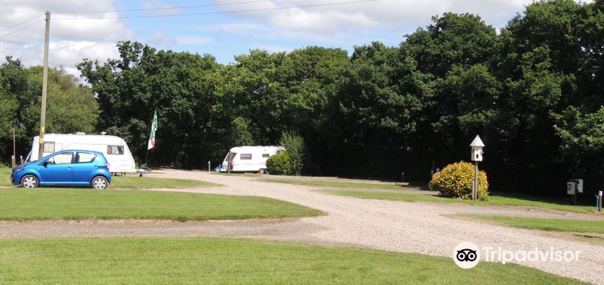 Highampton Travel Guide 2024 - Things to Do, What To Eat & Tips | Trip.com