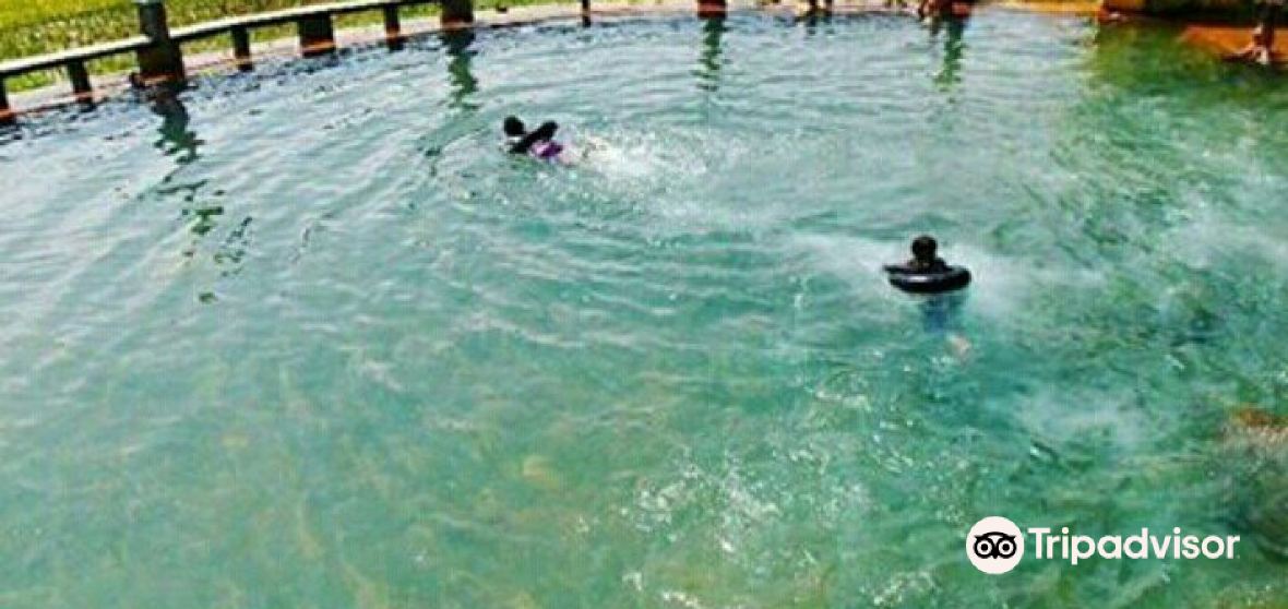 Things to Do in Tarutung in 2025 - Top Attractions, Local Food, Hotels ...