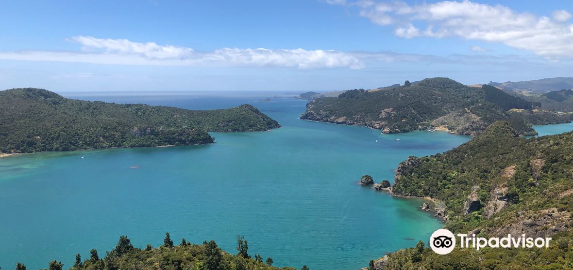 Things to Do in Totara North in 2024 - Top Attractions, Local Food ...