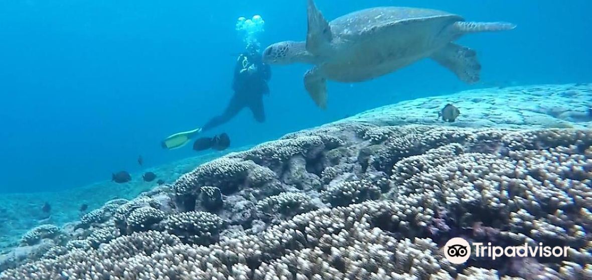 Welsby Travel Guide 2024 - Things to Do, What To Eat & Tips | Trip.com