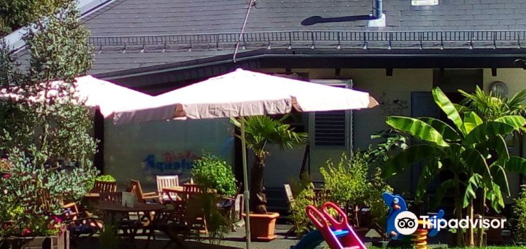 Rheinbollen Travel Guide 2026: Top Attractions, Things to Do & Deals ...