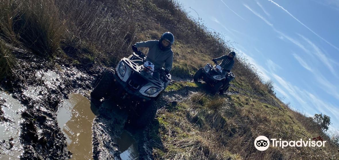 Rufforth with Knapton Travel Guide 2024 - Things to Do, What To Eat ...