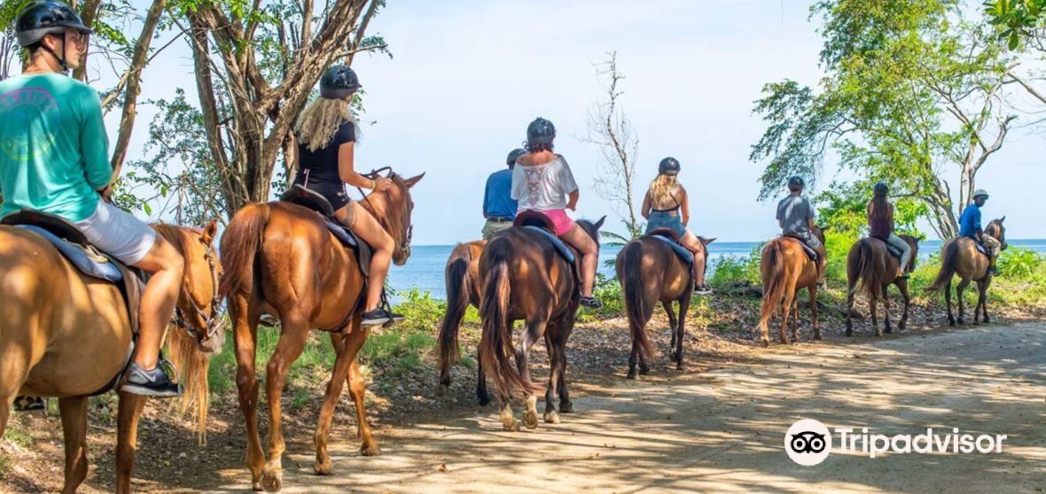 Hanover independent travel guide (2025): top things to do, popular ...