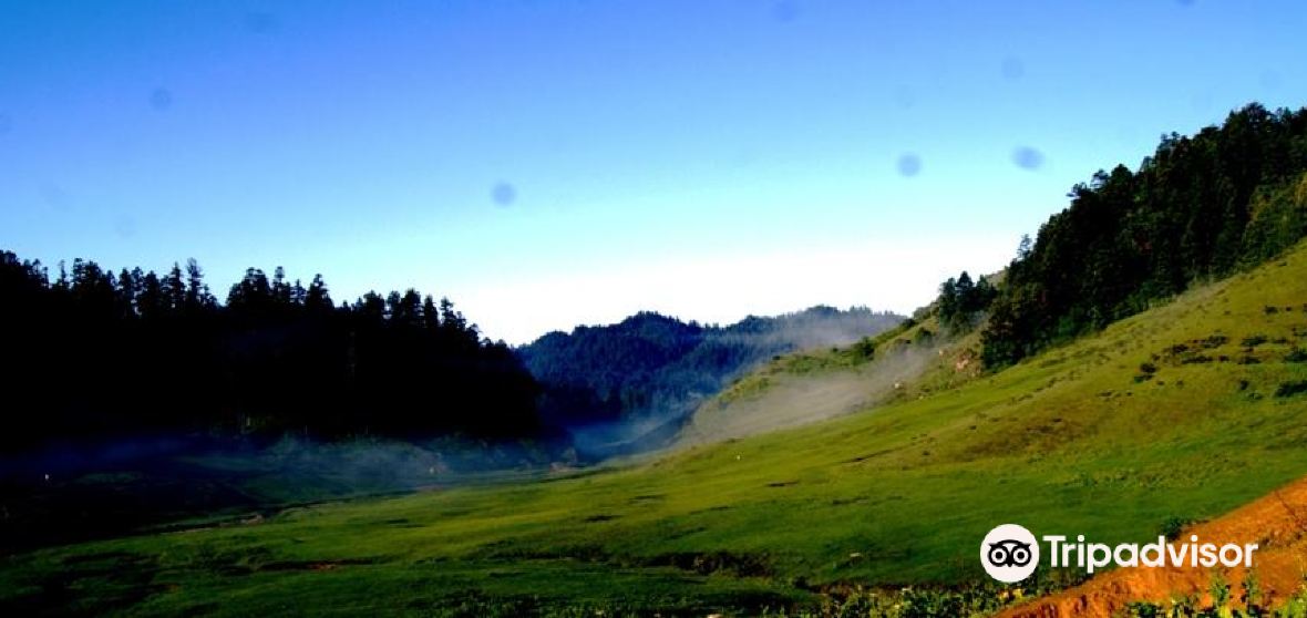 Things to Do in Kailali in 2024 - Top Attractions, Local Food, Hotels ...