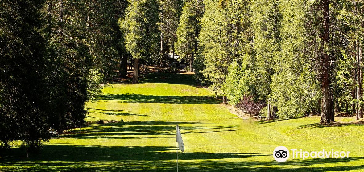 Forest Meadows Travel Guide 2026: Top Attractions, Things to Do & Deals ...