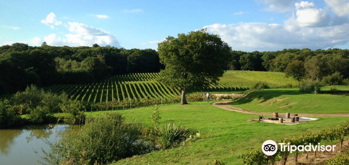 Things to Do in Danehill in 2024 - Top Attractions, Local Food, Hotels ...