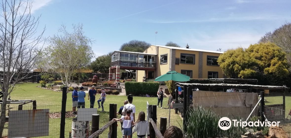 Midvaal Local Municipality Travel Guide 2024 - Things to Do, What To ...