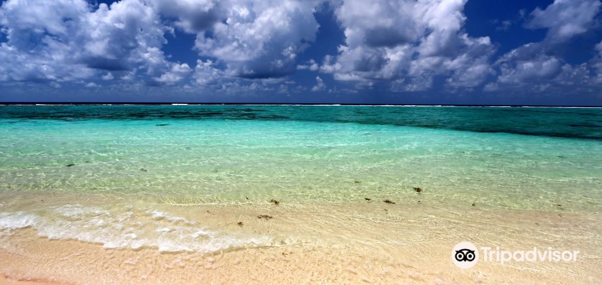 Little Cayman Travel Guide 2026: Top Attractions, Things to Do & Deals ...