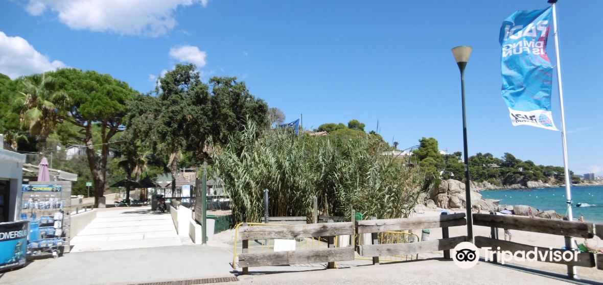 Things to Do in Calonge in 2025 - Top Attractions, Local Food, Hotels ...