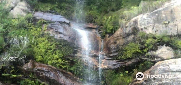 Roses Gap Travel Guide 2026: Top Attractions, Things to Do & Deals ...